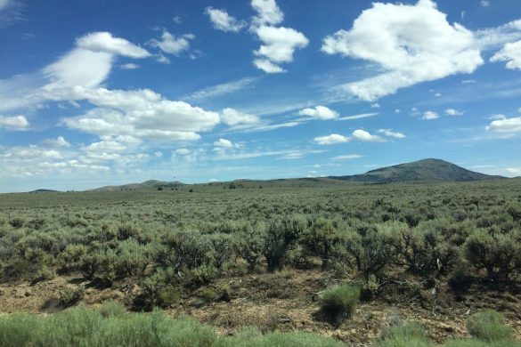 Dig your own fossils to collect and keep in Fossil, Oregon! Ideal for ...