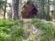 CLOSED Stay in the historic Musick Guard Station - Forest Service cabin ...
