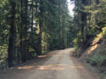 CLOSED Stay in the historic Musick Guard Station - Forest Service cabin ...