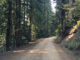 CLOSED Stay in the historic Musick Guard Station - Forest Service cabin ...