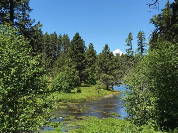 Skylight Cave is worth getting up early to see - Deschutes National Forest